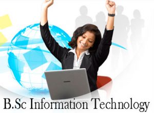 B.Sc. IT (Information Technology) Course Details - Subjects, Fee, Career